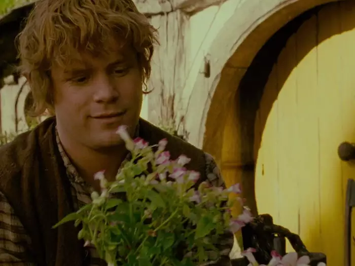 סיור ליקוט ביערות הפלך - טריפ - טיולים מאורגנים